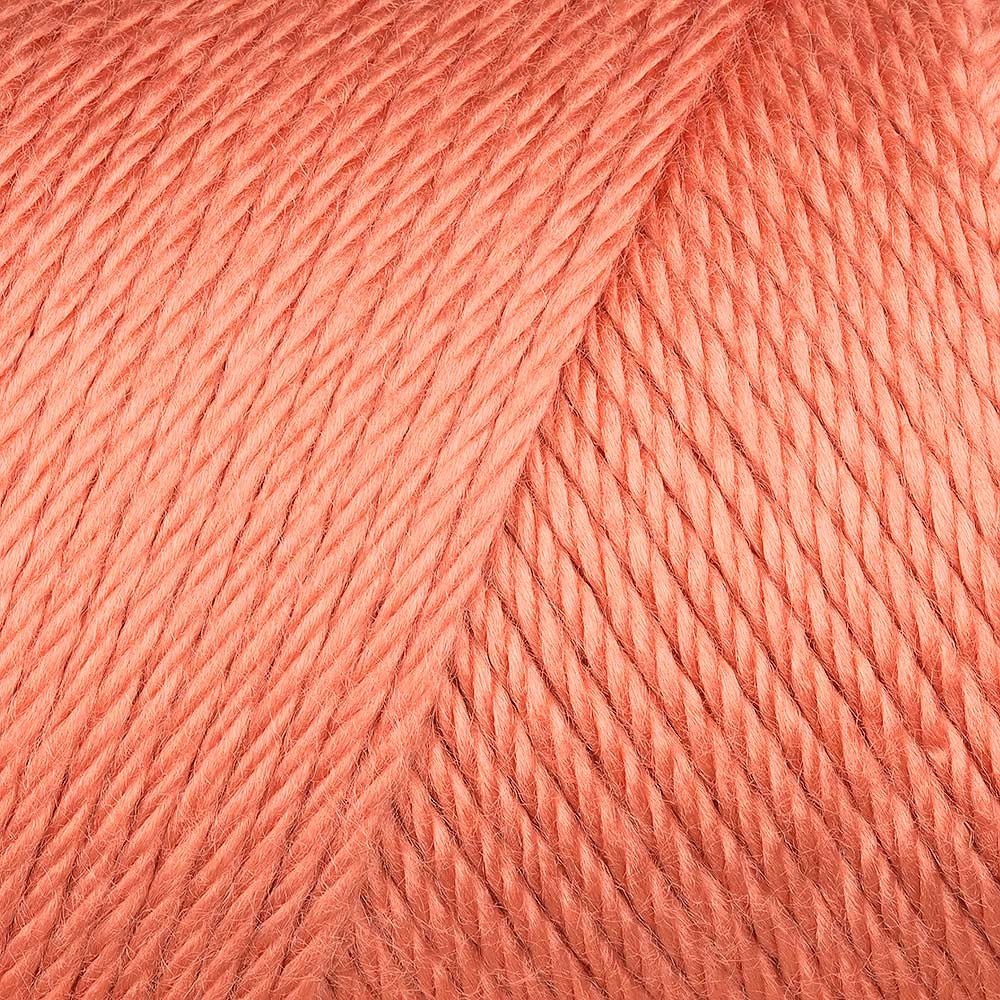 Caron Simply Soft - Persimmon 9754 – Knitty Gritty yarn and more