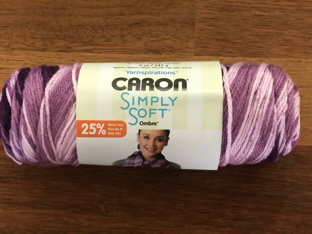 Caron Simply Soft - Ombre & Speckles - Grape Purple – Knitty Gritty ...